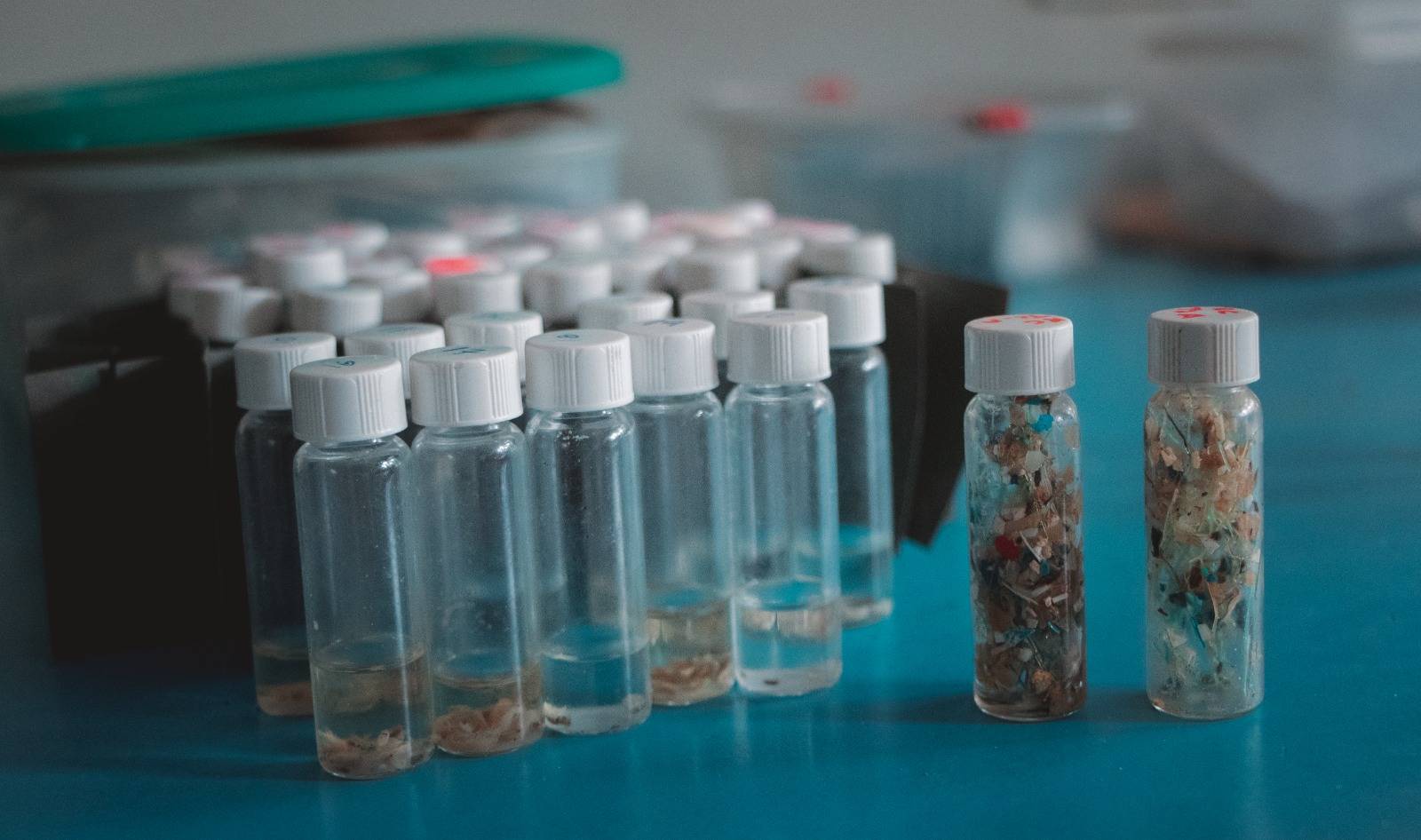 Venezuela participa en proyecto regional para el estudio de ...